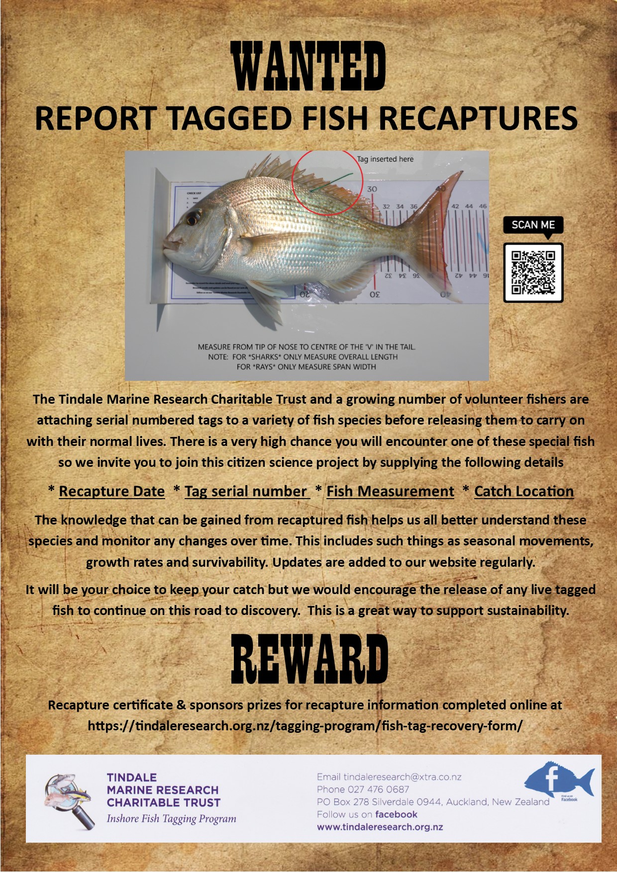 Inshore Tagging programme – Tindale Marine Research Charitable Trust